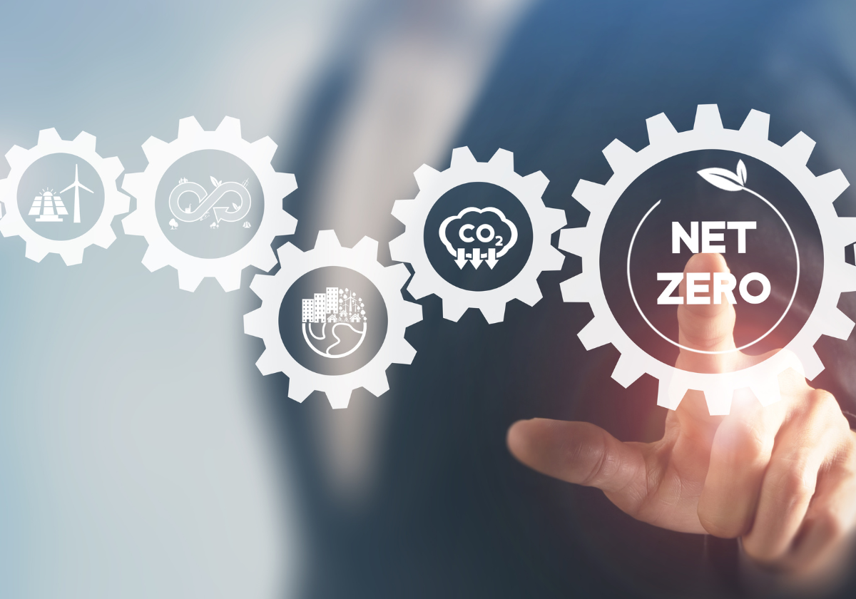 Understanding the Implications: Scaling Back on Net Zero Targets - AGM ...